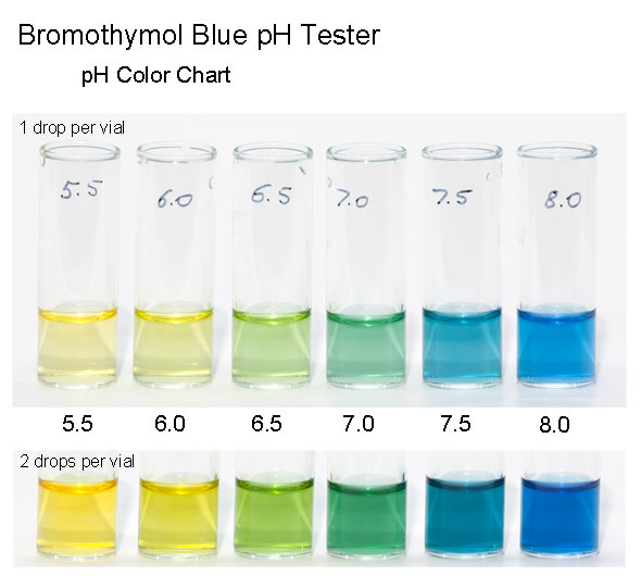 Bromothymol Blue PH Tester Bromothymol Blue PH Tester